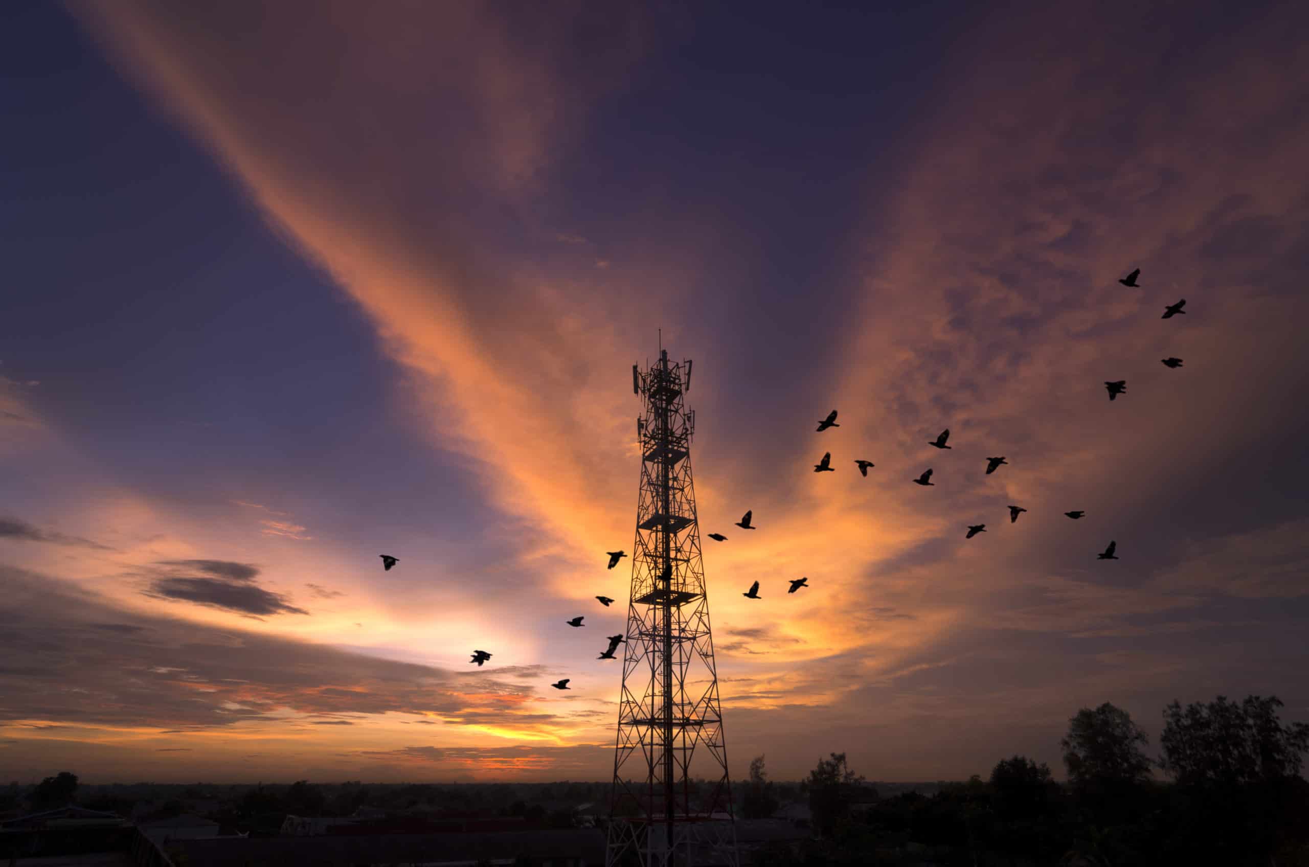 unWired Broadband launches tower in Earlimart | unWired Broadband